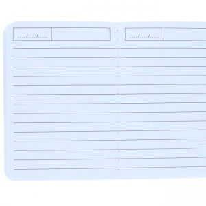 Carnet de notes petit format | Dino - Le petit souk - little cecile