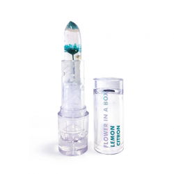 Rouge à lèvres Flower in a box| Citron - Inuwet - little cecile